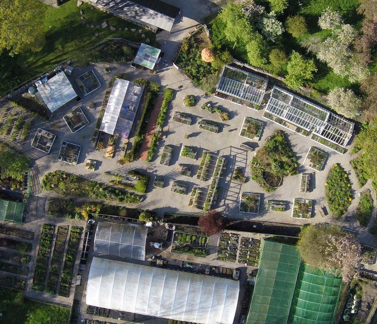 Realising a dream: Abi and Tom's Garden Plants at Halecat – Learning ...