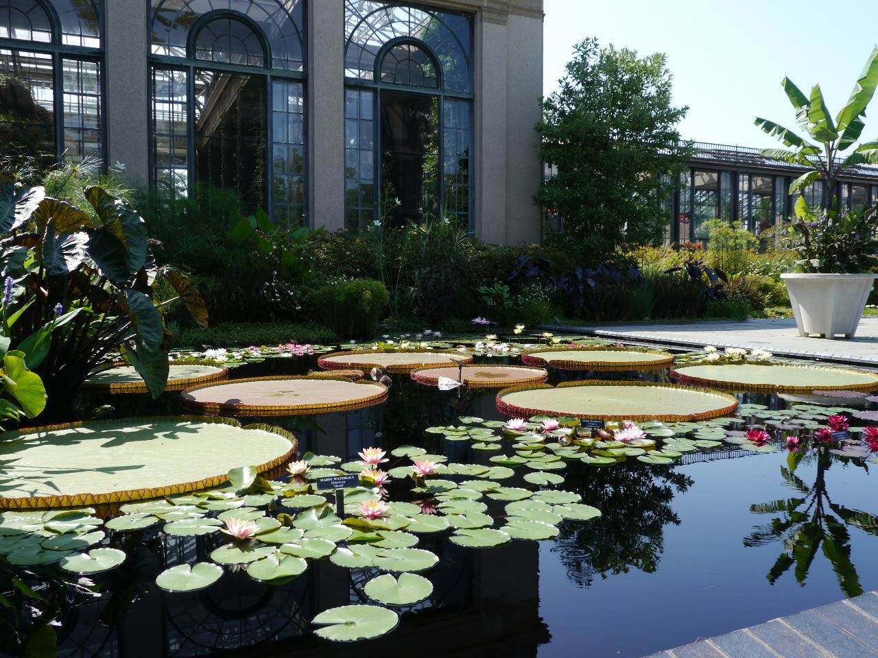 The Gardens of Philadelphia – Learning with Experts