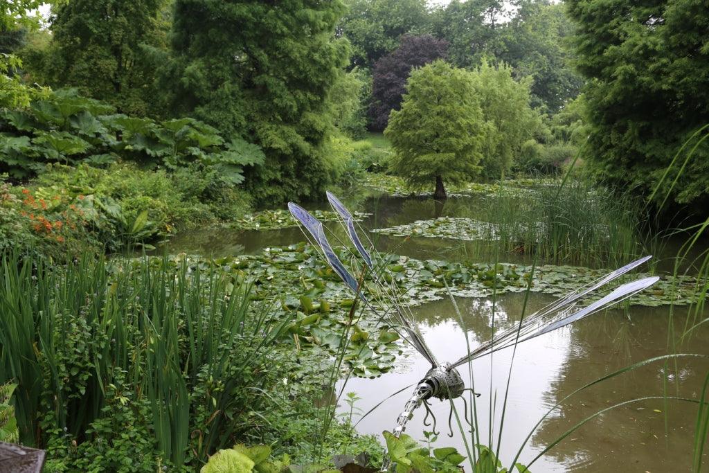 The New Hillier Manual of Trees and Shrubs – Learning with Experts