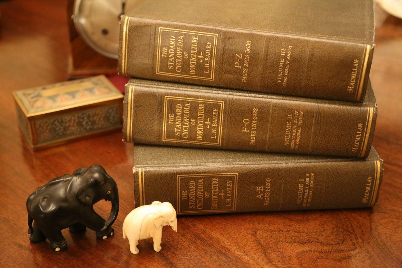 Botanical terms you should know? – Learning with Experts