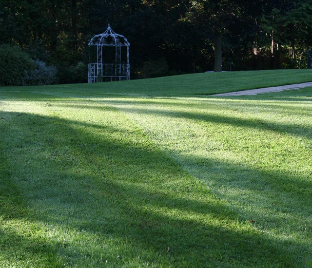 Planning the shape of your lawn – Learning with Experts