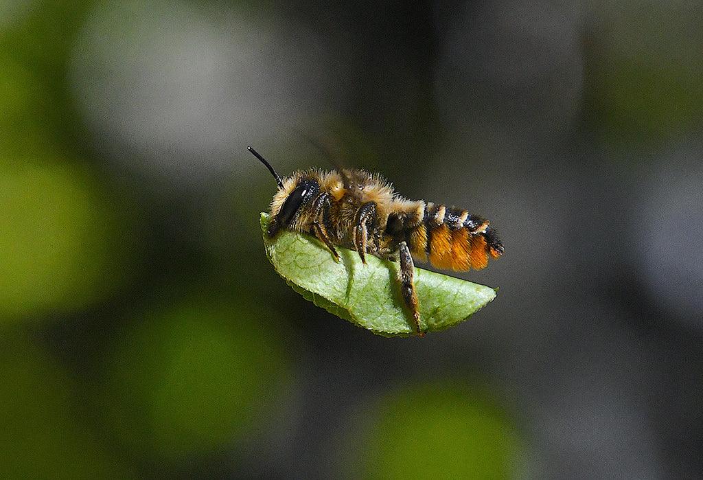 Young wildlife photo contest winners are an inspiration to all ages ...