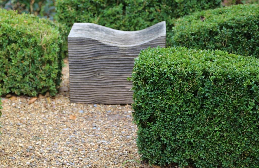 How to grow the perfect hedge: surrounding, dividing and enhancing you ...