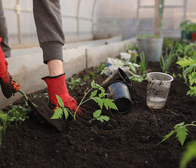 What qualifications does a gardener need? – Learning with Experts