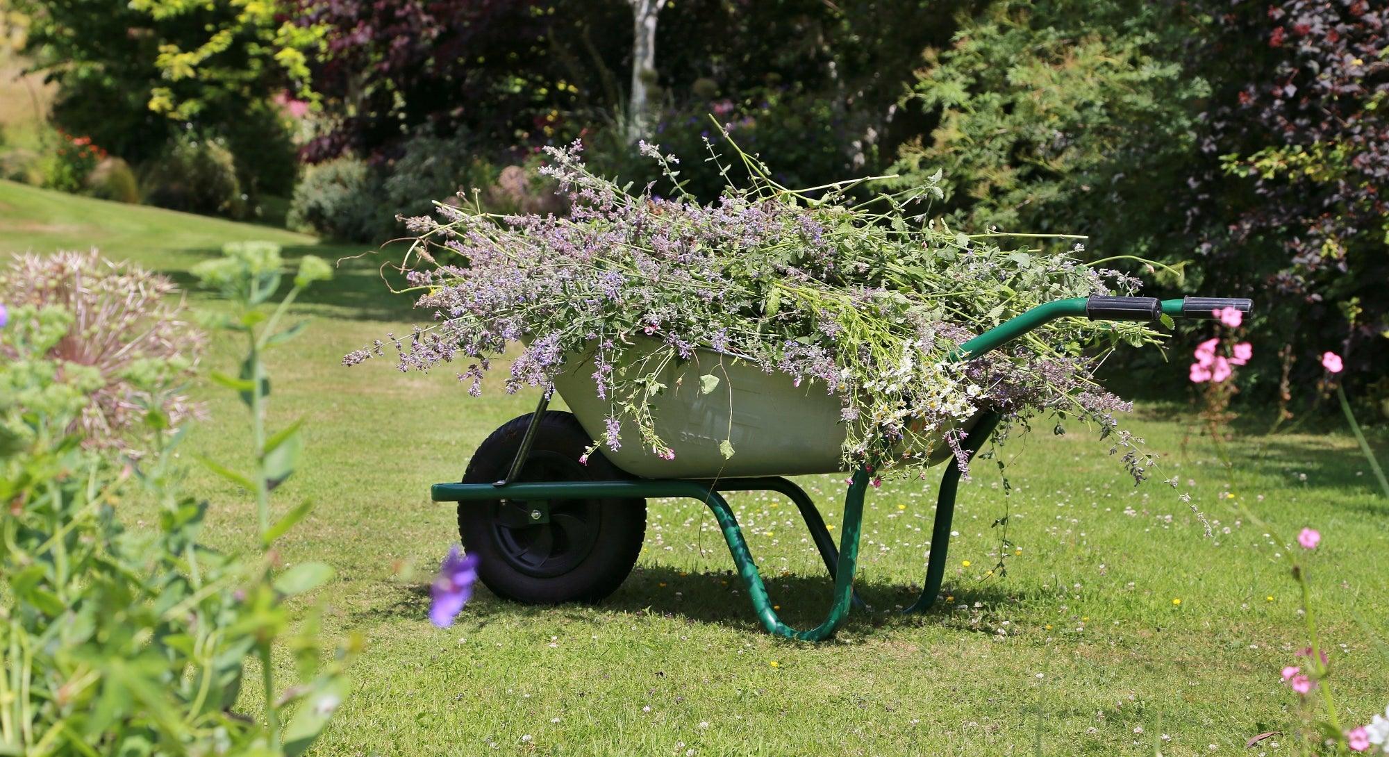 What to look for when buying a wheelbarrow – Learning with Experts