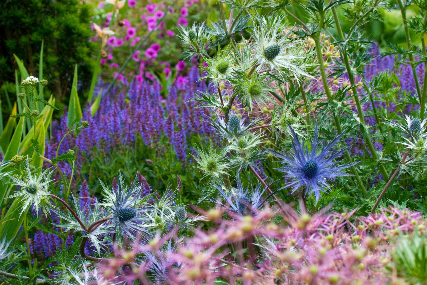 Gardening courses near you - Learn with Experts Online – Learning with ...