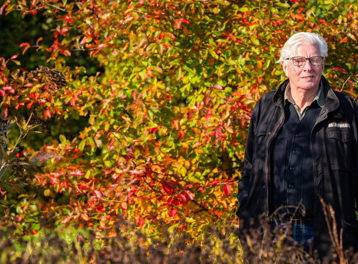 Piet Oudolf Vlinderhof Garden Online Course – Learning with Experts