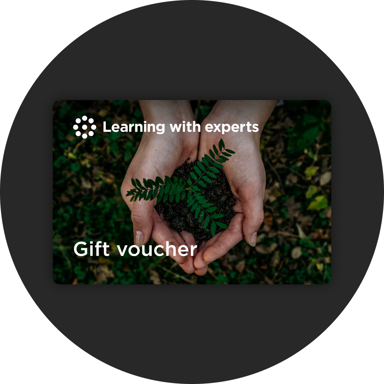 Online Courses Taught by Experts | Learning with Experts