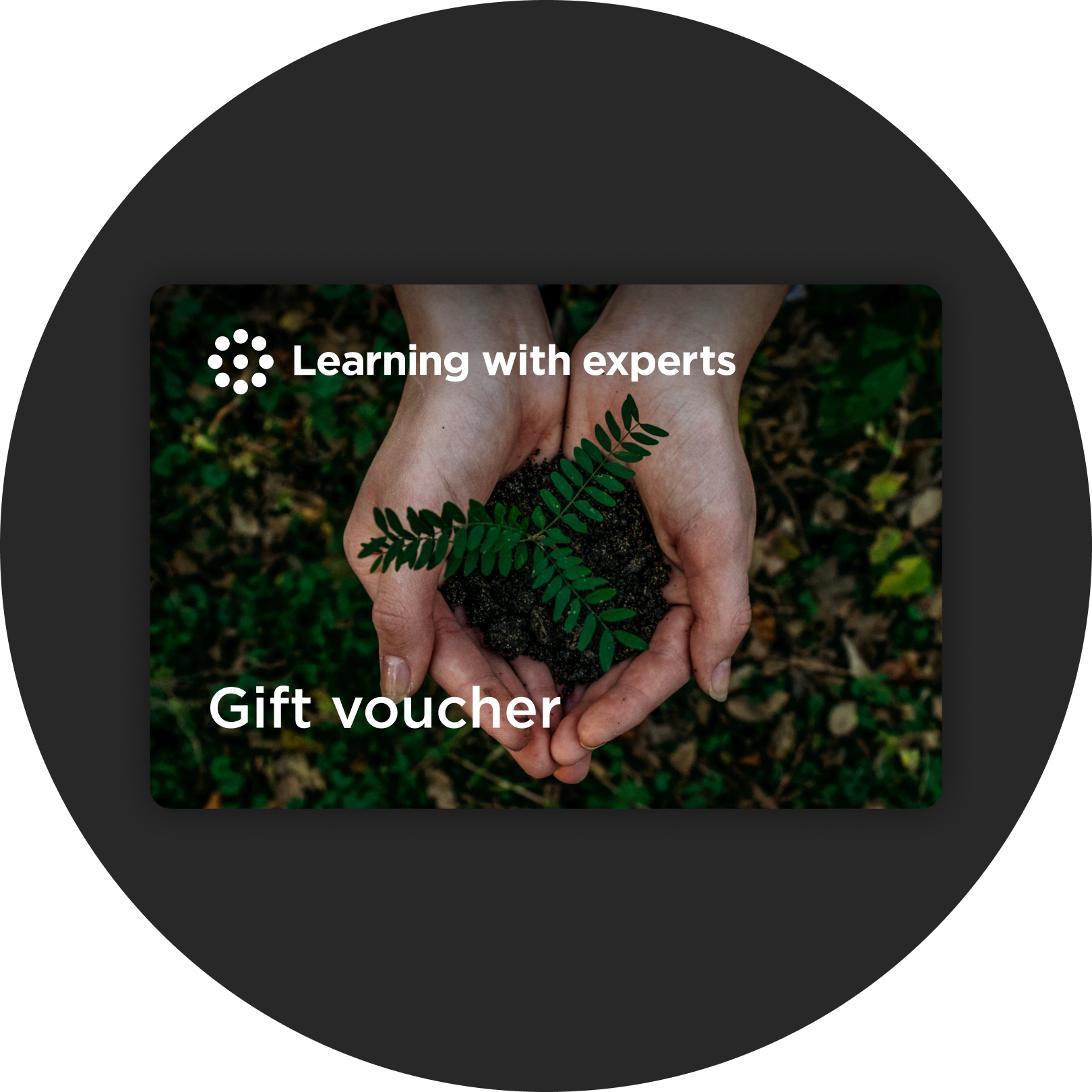 Online Courses Taught by Experts | Learning with Experts