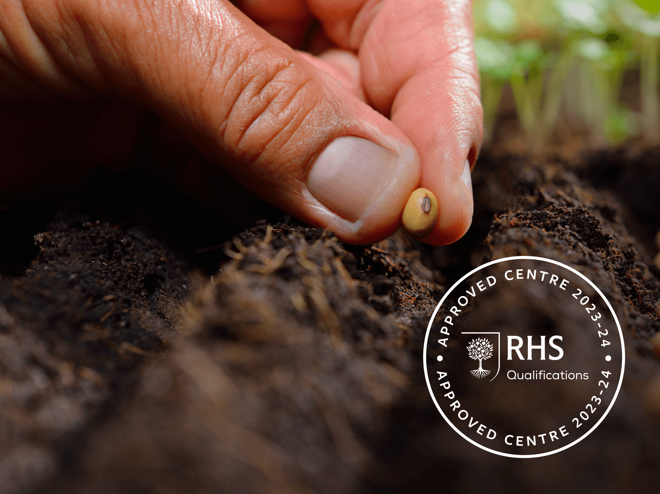 RHS Level 2 Certificate: Plant Growth & Development – Learning with Experts