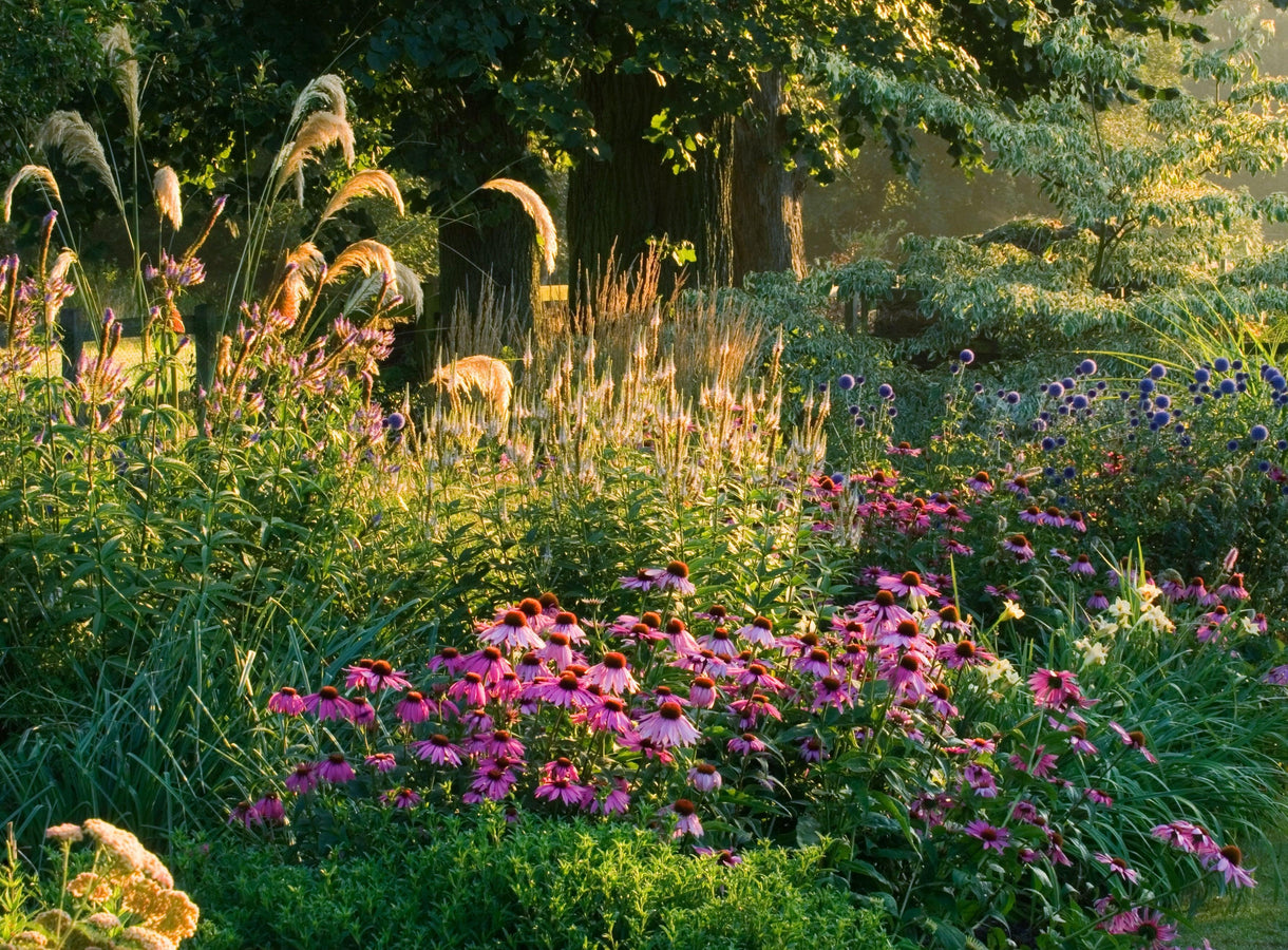 Professional Planting Design Online Course – Learning with Experts